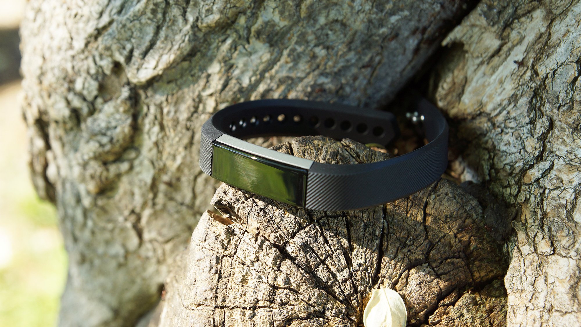 Fitbit Alta review - convenient smart bracelet, suitable for everyone ...