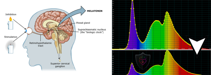 Meet our next-generation display profiles - “Health-Guard”, “Design and ...