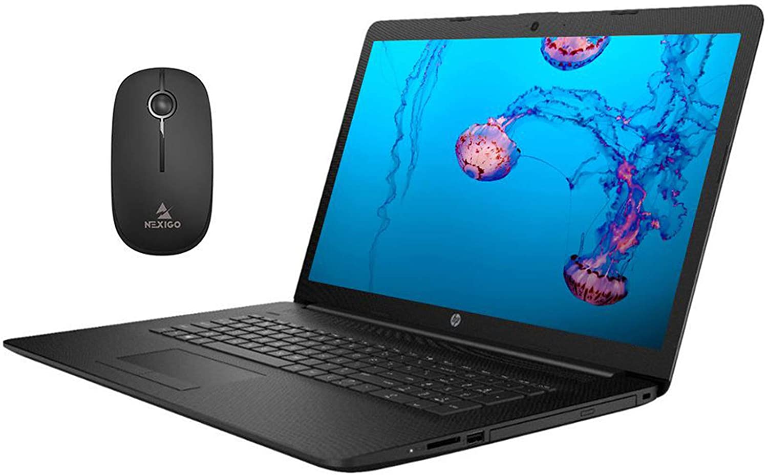 HP 17 · i5-8265U · UHD Graphics 620 · 17.3”, HD+ (1600 x 900), TN · 1TB ...