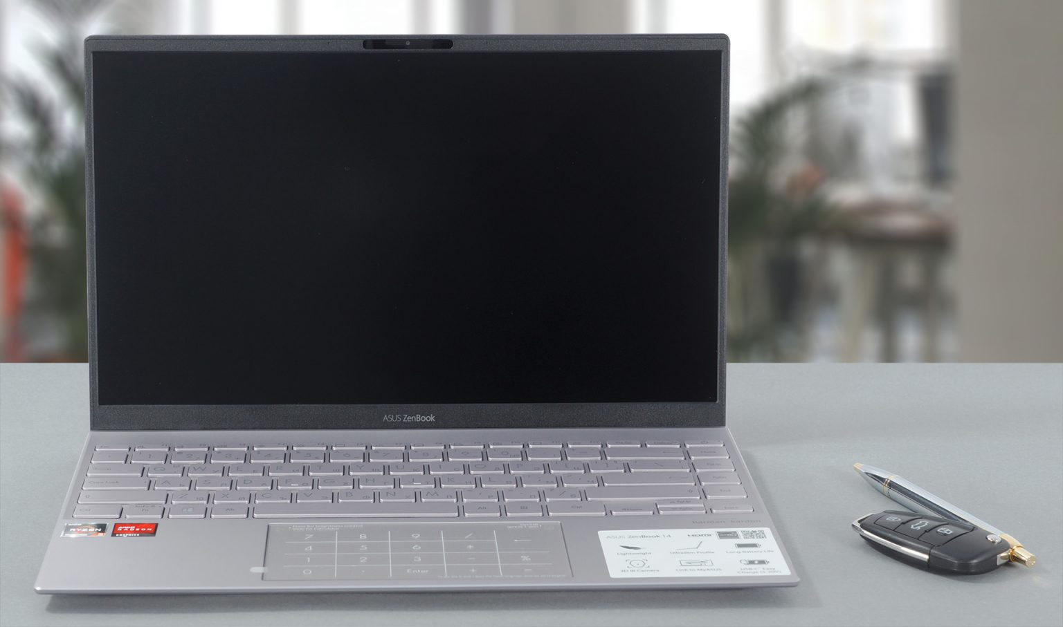 ASUS ZenBook 14 UM425 review - when portability meets performance ...