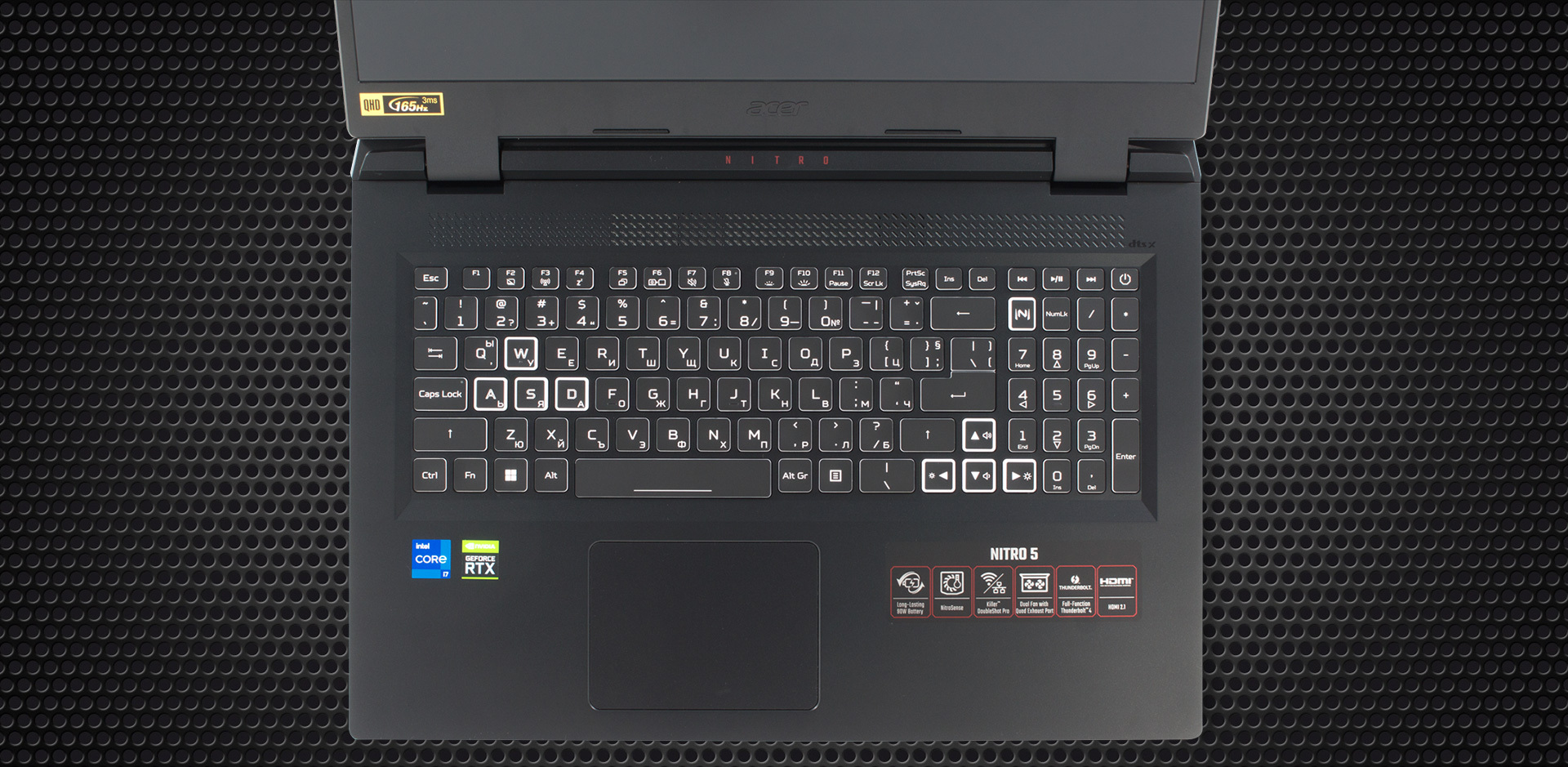 [In-Depth Comparison] Acer Nitro 5 (AN517-55) vs ASUS TUF Gaming A17 ...