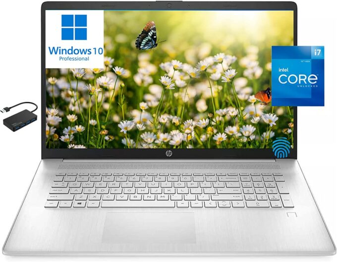 HP 17 - i7-1165G7 · Xe Graphics G7 · 17.3”, Full HD (1920 x 1080), IPS ...