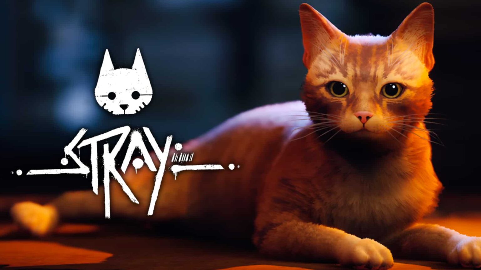 Top 100 Best Laptops for Stray | LaptopMedia 中国