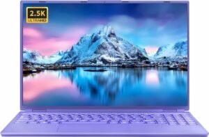 Intel Celeron N5095 - Specs, Benchmark Tests, Comparisons, and Laptop ...