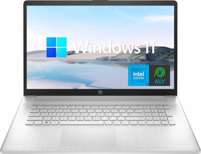 HP 17 - i3-1125G4 · UHD Graphics Xe G4 · 17.3”, HD+ (1600 x 900), TN ...