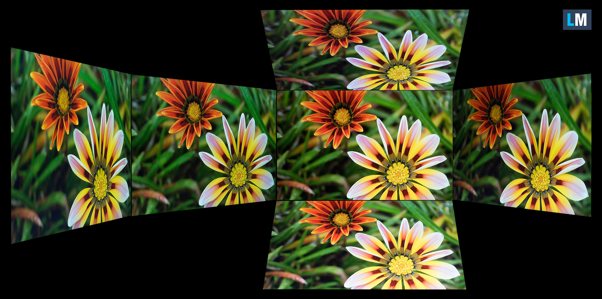 HP EliteBook 865 G10 review - All-Metal Business Powerhouse with Quiet ...