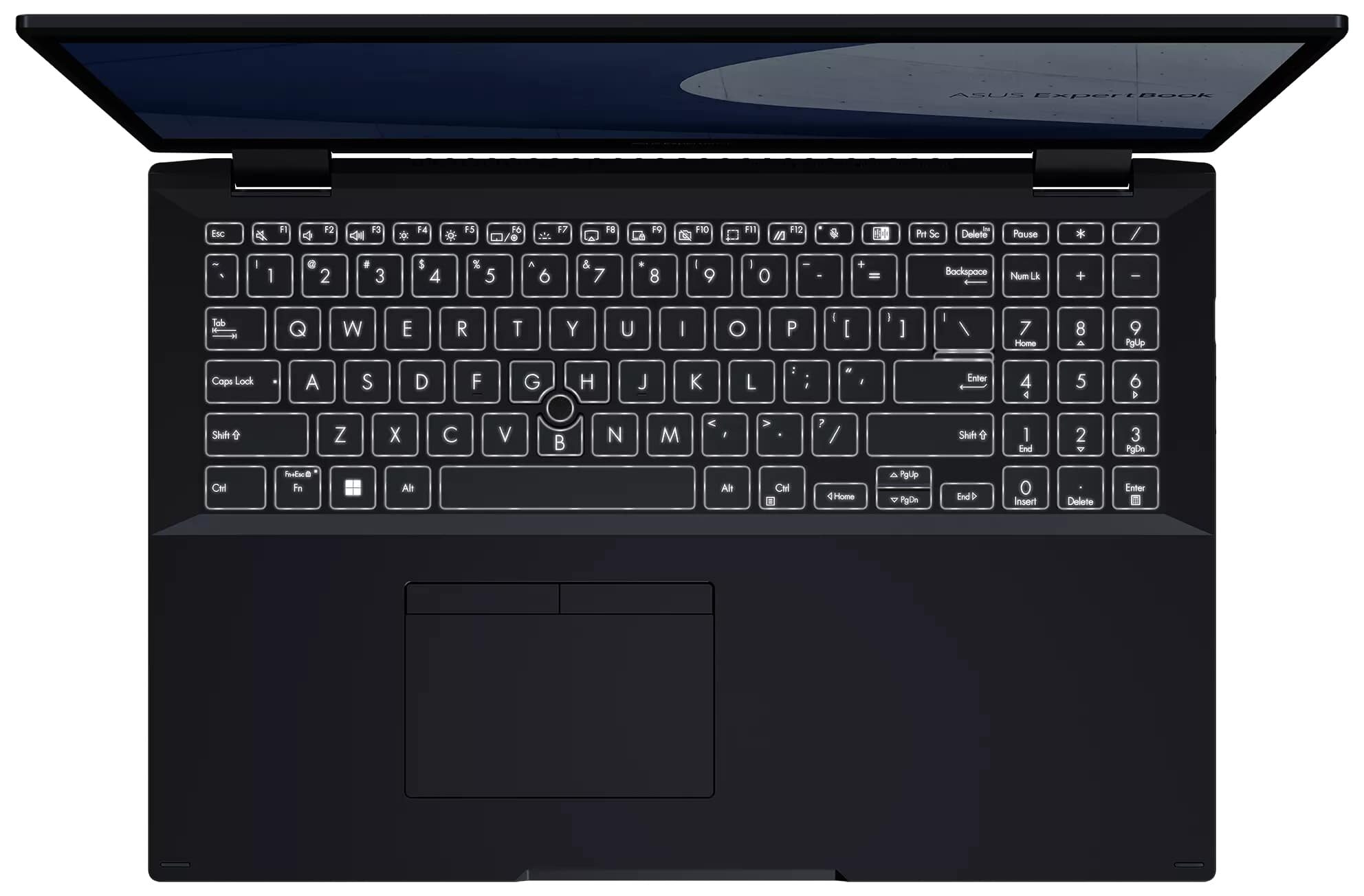 ASUS ExpertBook L2 Flip (L2502F, AMD Ryzen 5000 Series) - Specs, Tests ...